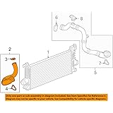 Amazon.com: General Motors 13251447 Inlet Hose: Automotive