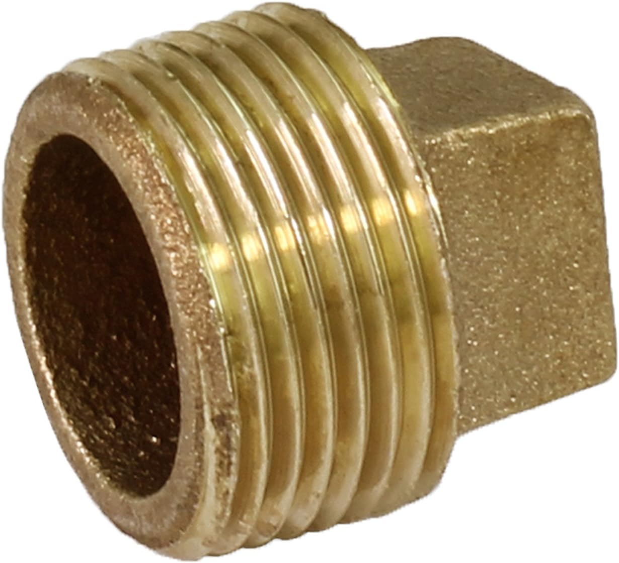 Everflow BRPL0018-NL 1/8-Inch Male National Pipe Taper Threads Brass ...
