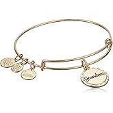 Amazon.com: Alex and Ani Womens Because I Love You A18BILY03RS Mom Charm Bangle Bracelet ...