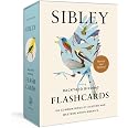 Sibley Tree Identification Flashcards: 100 Trees of North America ...