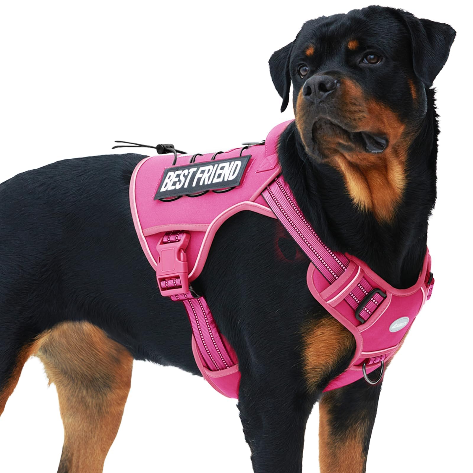 Auroth Tactical Dog Harness for Large Dogs No Pull Adjustable Pet ...