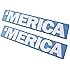 Amazon.com: JS Artworks 'Merica America United States USA Vintage Flag ...