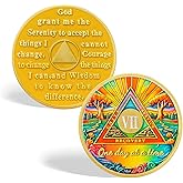 Amazon.com: 12 Steps AA Coin Sobriety Chip Medallion, Clockwork One Day ...