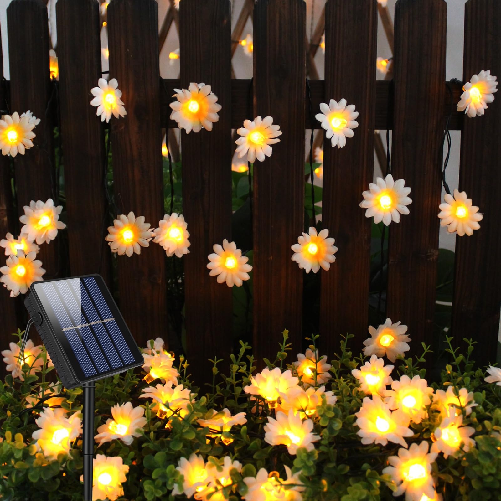 Daidasy Solar Daisy Flower String Lights for Outside, 60 LED Solar ...