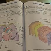 The Nurse's Anatomy and Physiology Colouring Book: Amazon.co.uk ...