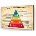 Amazon.com: Wallpicss Maslows Hierarchy of Needs Poster Framed Mental ...