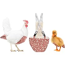 Chicken Diapers For Indoor Chickens Chicken Duckling Diapers, 3 Pack ...