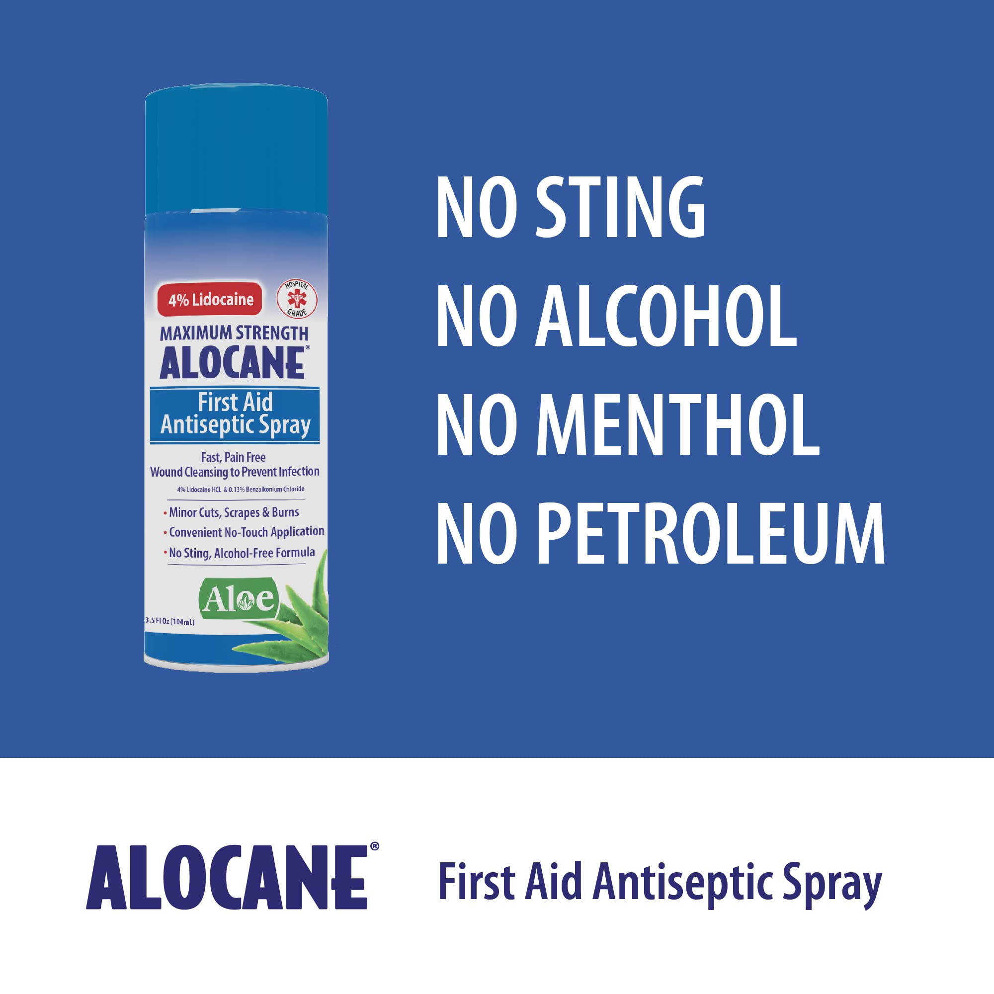 Mua Alocane First Aid Antiseptic Spray 3.5 fl oz trên Amazon Mỹ chính ...