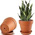 Amazon.com: Ysditrk 2 Pack Large Terracotta Pots with Saucer for Plants ...
