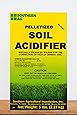 Amazon.com : Southern Ag Pelletized Soil Acidifier - 5LB : Garden & Outdoor