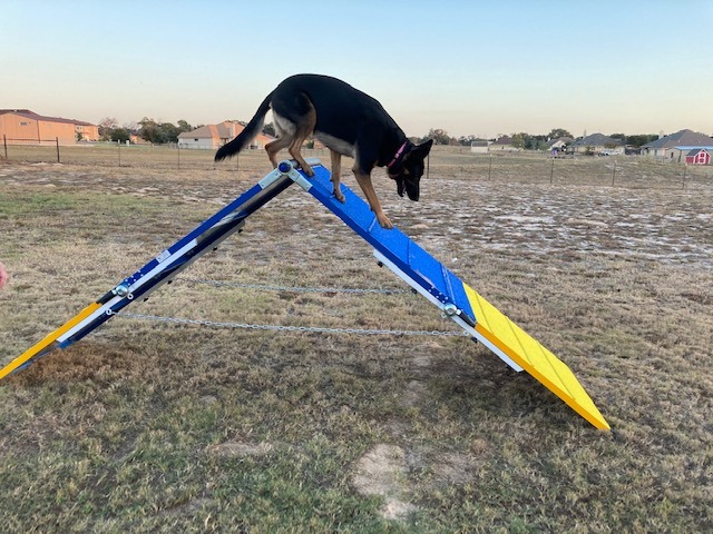 $55/mo - Finance Rubber Surface Dog Agility A-Frame (7') | Buy Now, Pay ...