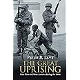 Amazon.com: The Great Uprising: Race Riots in Urban America during the ...