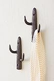 Amazon.com: Set of 3 - Cast Iron Cactus Double Wall Hooks/Hangers ...