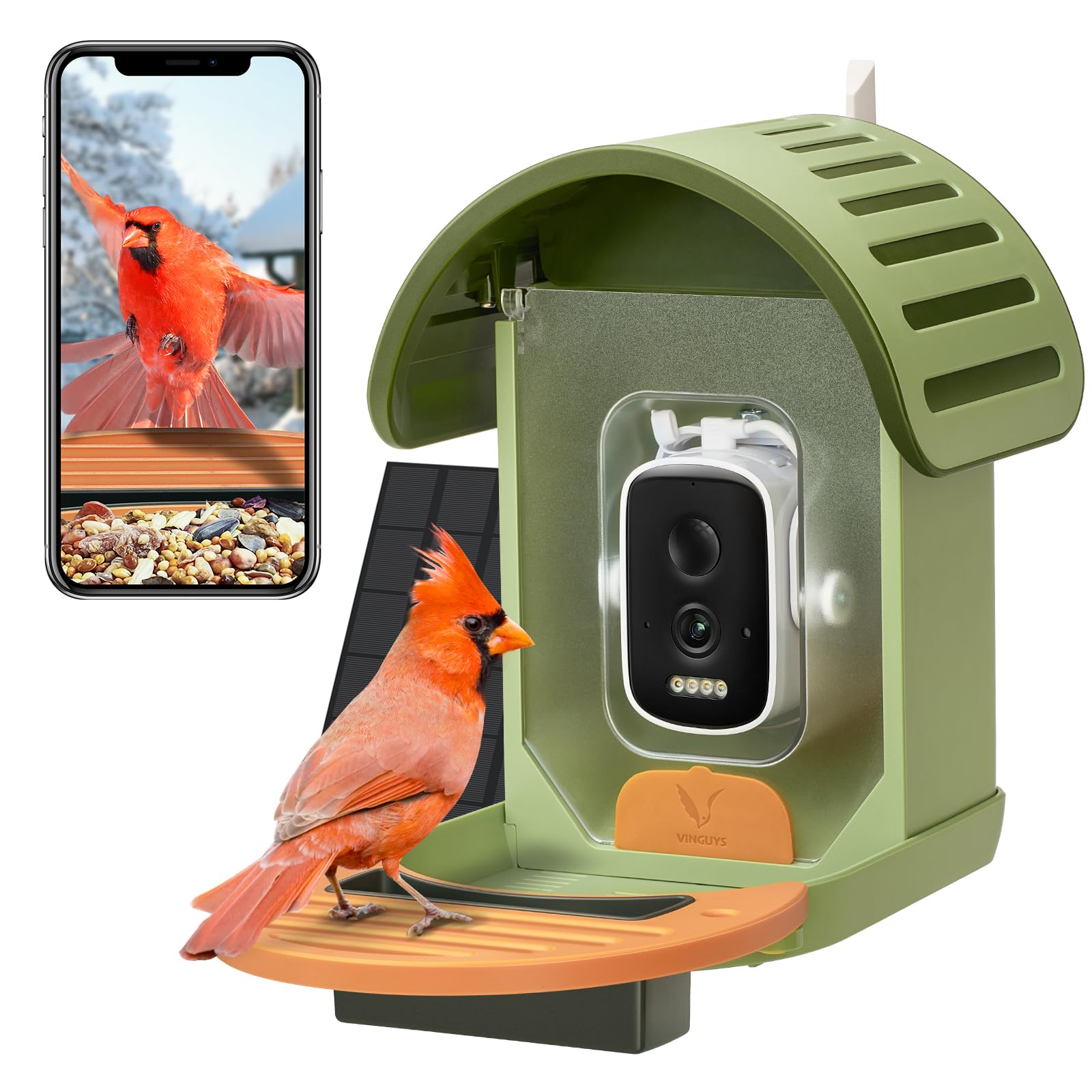 VINGUYS® Bird Feeder with Camera Solar Powered, Smart Bird Feeder Camera AI Identifies 11,000 ...