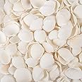 Amazon.com: WeDoSoy Natural Tiny Sea Shells Small White Clam Shells for ...