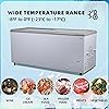 20 Cu.Ft Commercial Chest Freezer with LED Light,Temp Rang -8°F and 0°F ...