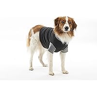 Amazon.co.uk Best Sellers: The most popular items in Dog Surgery ...