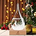 Amazon.com: F FOXKEY Storm Glass Weather Predictor, for Women Unique ...