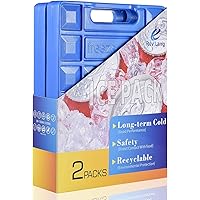 Amazon.com : REV. LANG Large Freezer Cold Ice Pack Block Ice Chest ...