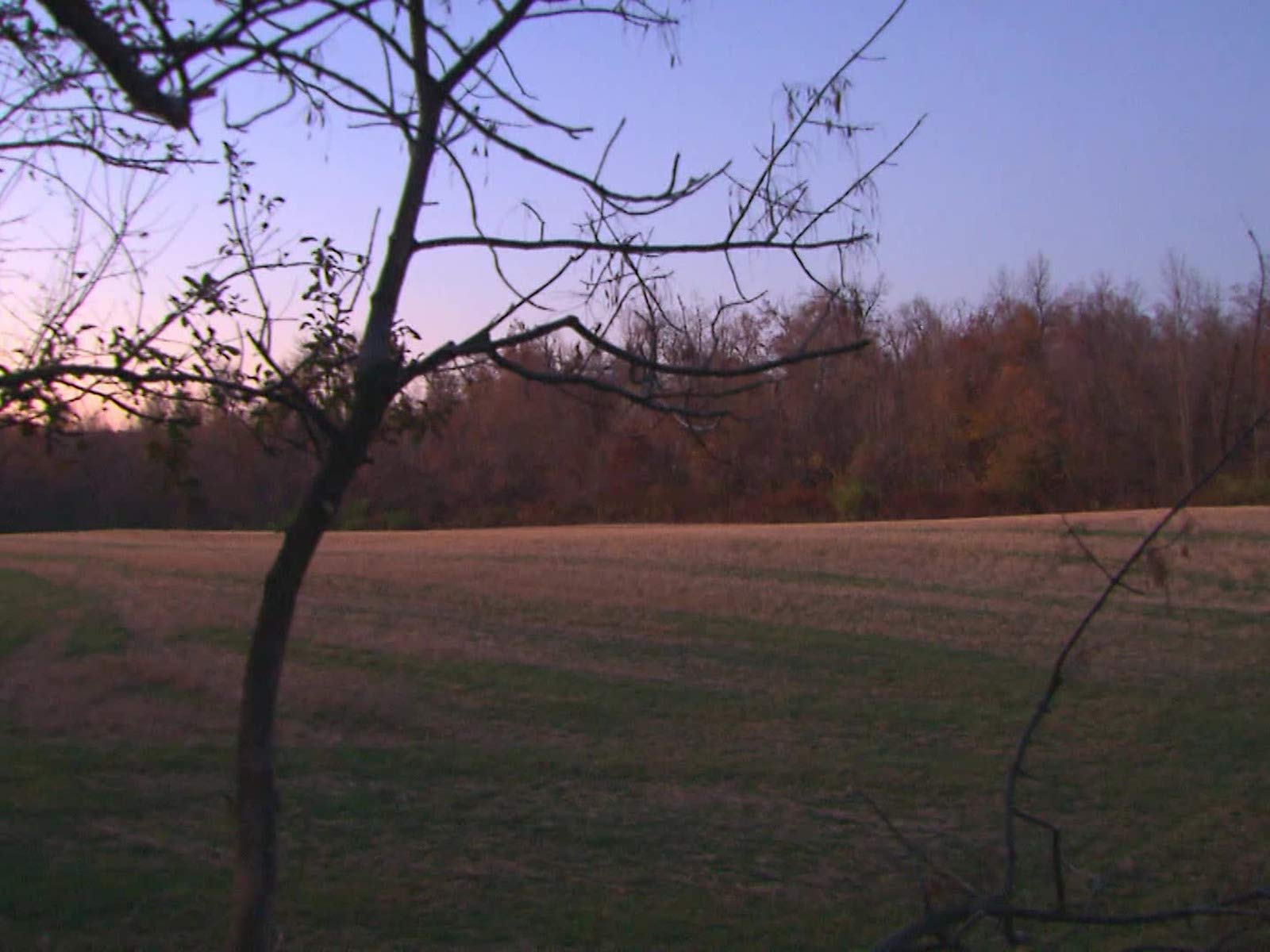 Watch Whitetail SLAM - Season 5 | Prime Video