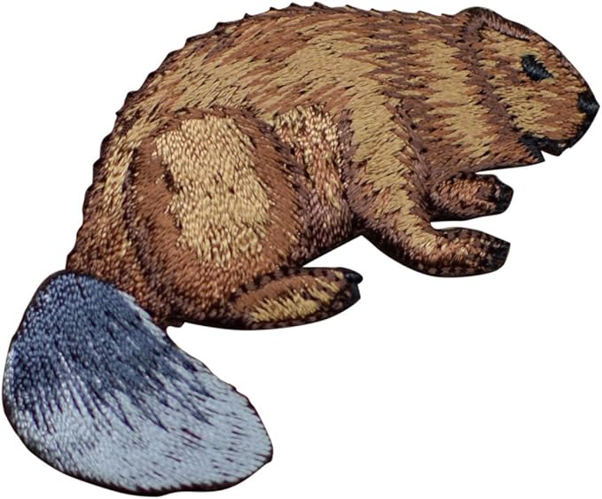 Amazon.com: Beaver Applique Patch (Iron on)