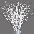 Amazon.com: 50Pcs Dried White Birch Twigs Branches - 100% Natural 17 ...