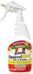 Amazon.com : Squirrel MACE Squirrel Repellent 40oz Ready-to-Use Spray ...