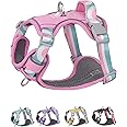 Amazon.com : Petank Dog Harness for Small Dogs, Dog Harness with Handle, Small Dog Harness ...