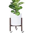 Amazon.com : Phoenix Vine 10 Inch White Indoor Modern Planter with ...