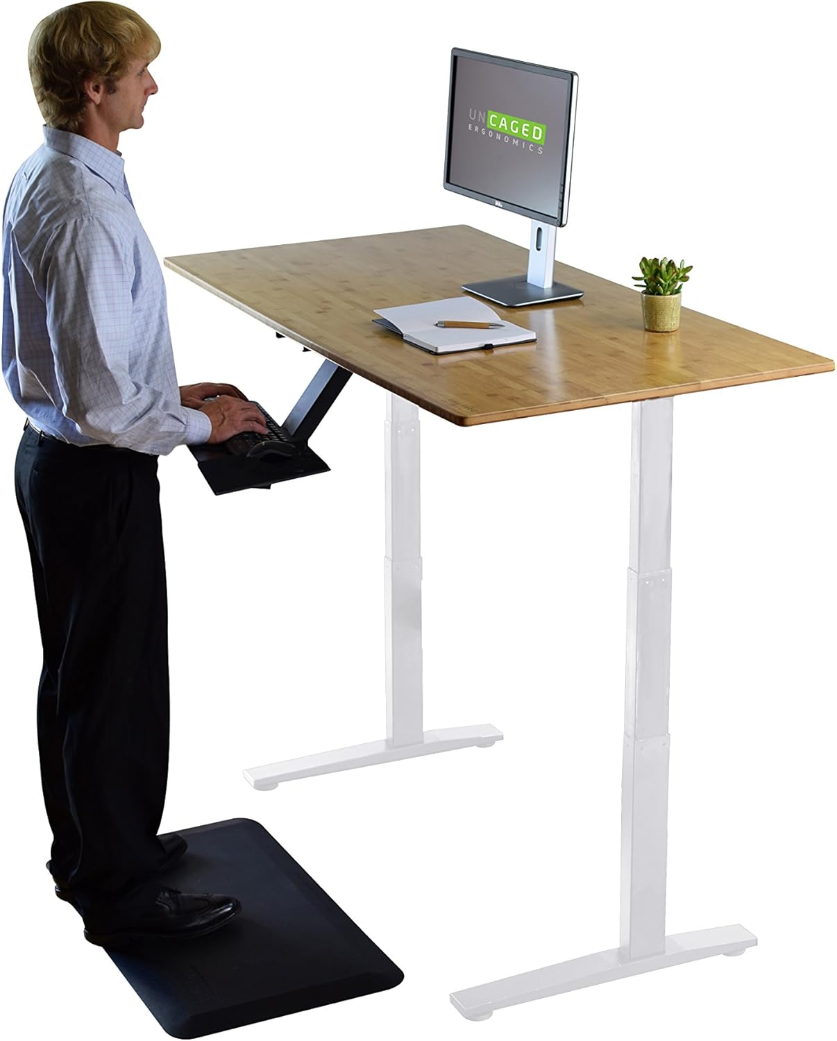 RISE UP Dual Motor Electric Bamboo Standing Desk 60×30” desktop tall ...