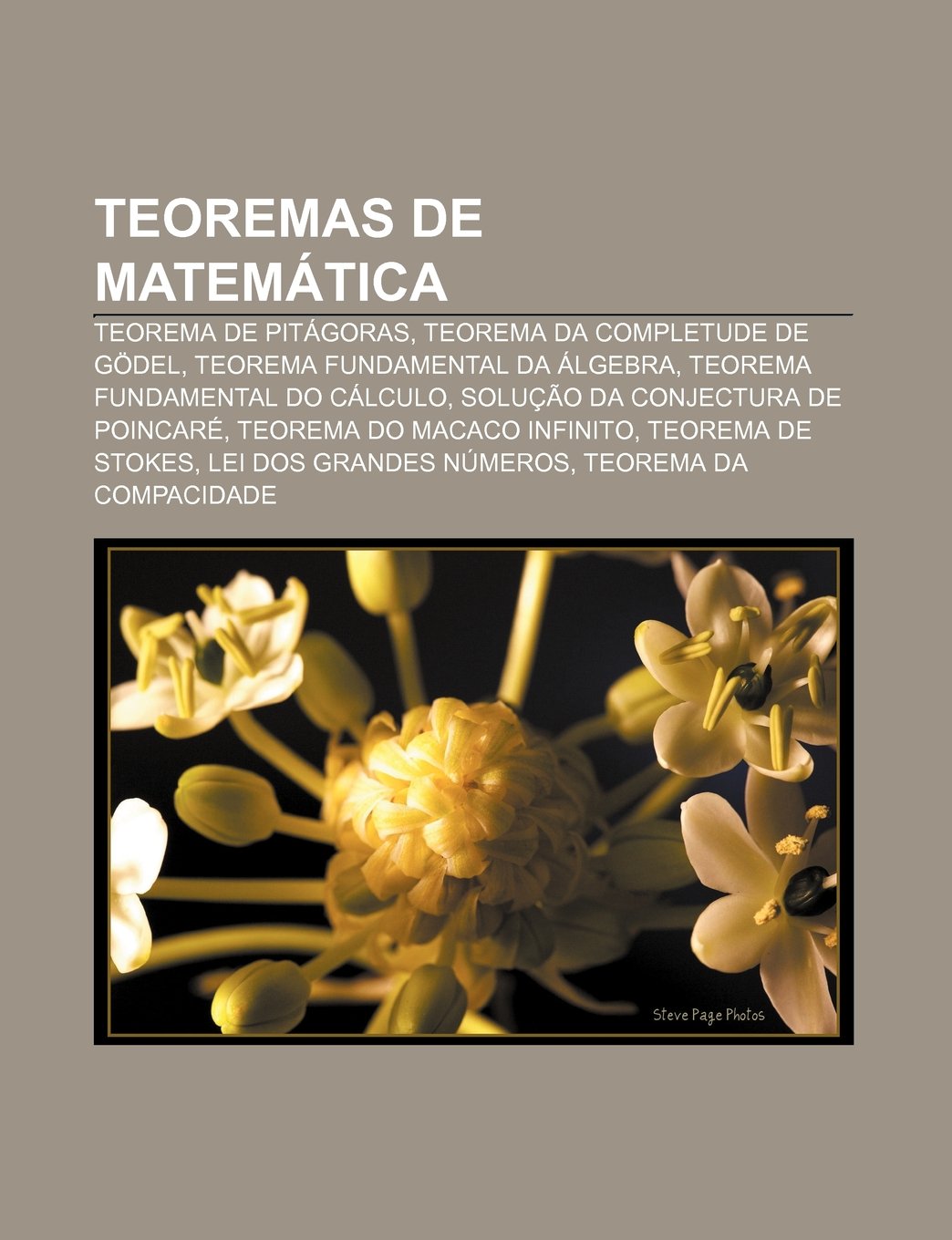 Teoremas de Matematica: Teorema de Pitagoras, Teorema Da Completude de ...