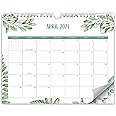 ZICOTO Aesthetic Greenery Wall Calendar - Runs from January 2024 Until ...