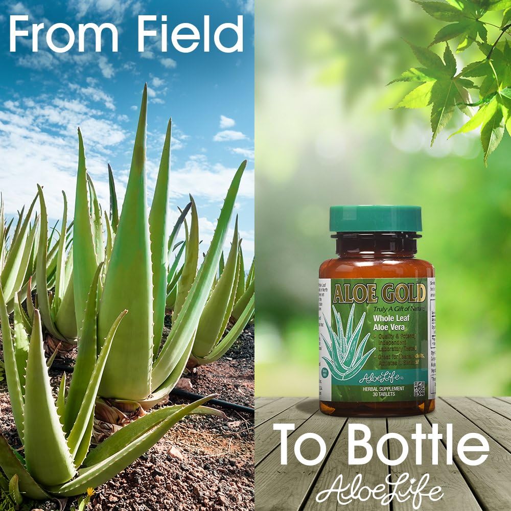 Aloe Life - Aloe Gold Tablets, Immune System Support and Healthy Herbal ...