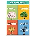 Amazon.com: Four Seasons Classroom Resource - Early Learning Poster ...