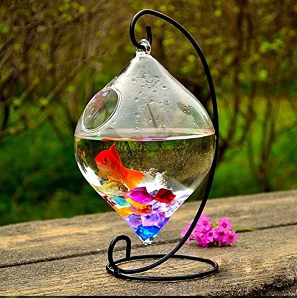Best Fish Bowls 2020 Get Aquarium Fish