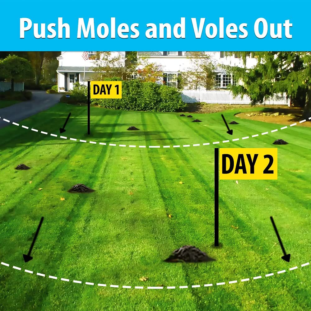 Mua Nature's MACE Mole and Vole Mace, Mole Deterrent for Yard, 1 Gallon ...