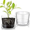 Amazon.com : Singhoow 2 Sets 6 Inch Glass Planter with Drainage Hole ...