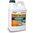 Amazon.com: American Hydro Systems RR1 Rid O' Rust 2X Concentration ...