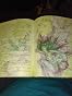 Amazon.com: Lady Cottington's Pressed Fairy Book: 10 3/4 Anniversary ...