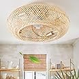 hummingbird 20 Inch Boho Ceiling Fans with Light Flush Mount, Rattan ...