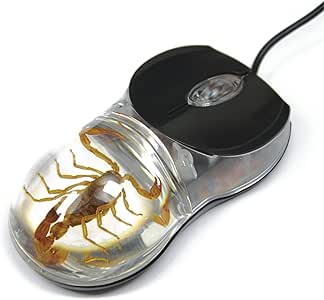 Amazon.com: Golden Scorpion Computer Mouse with Clear Background: Toys ...