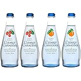 Amazon.com : Clearly Canadian Sparkling Flavored Water (4 Flavor ...