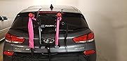 Amazon.com : Allen Sports Deluxe 2-Bike Trunk Mount Rack, Model 102DN-R ...