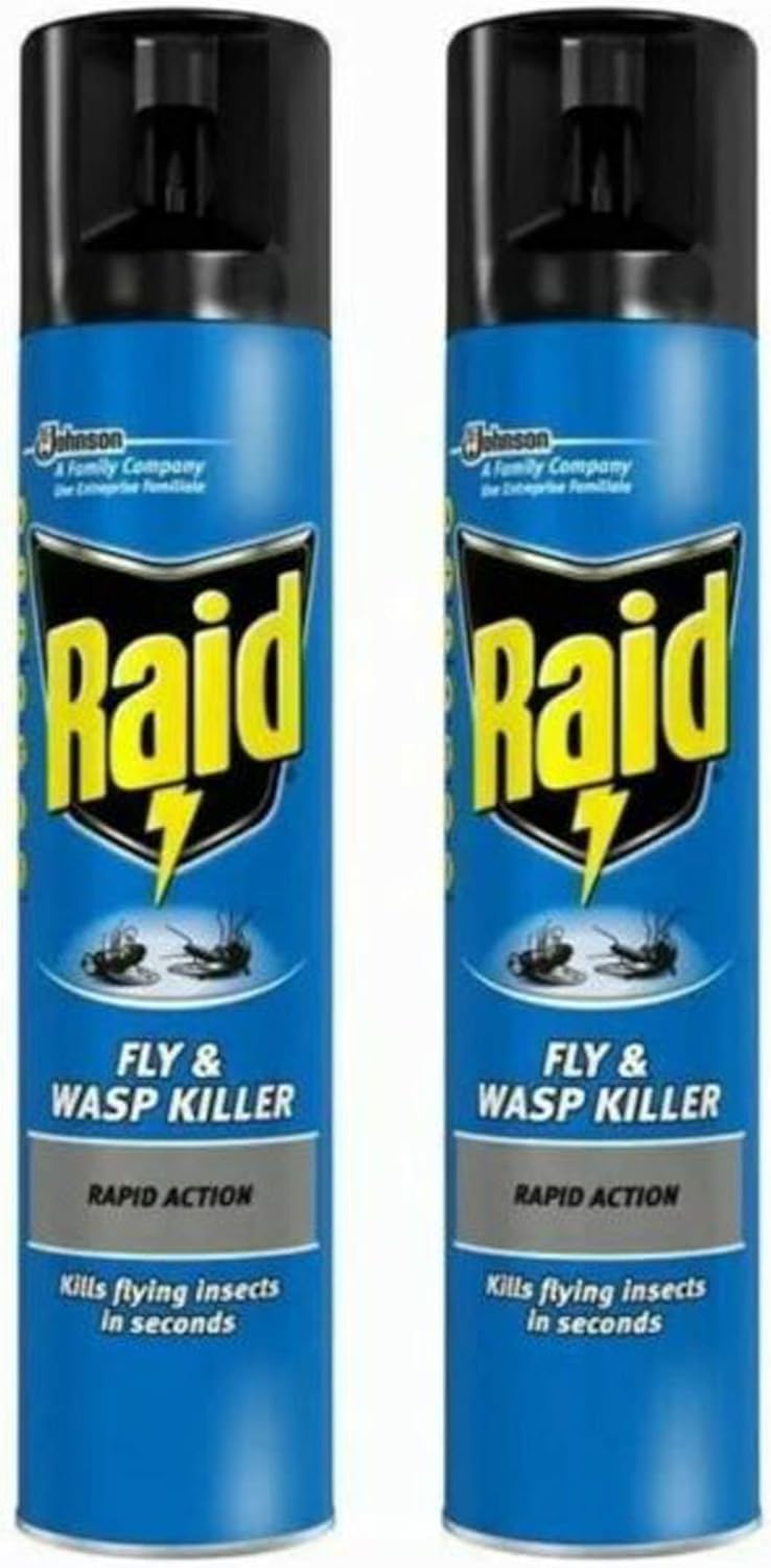 2 x Raid Fly Wasp Killer Rapid Action Spray Can 300ml: Amazon.co.uk ...