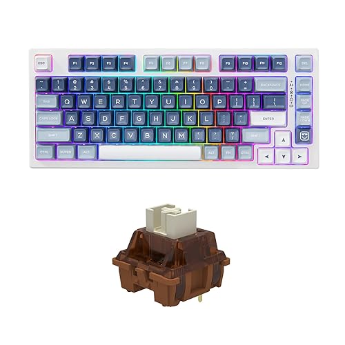 YUNZII YZ75 75% Hot Swappable Wireless Gaming Mechanical Keyboard ...