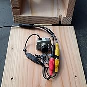 Wildlife World Camera Ready Nest Box: Amazon.co.uk: Garden & Outdoors