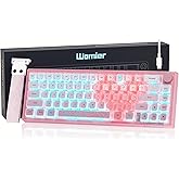 Amazon.com: Womier SK80 Retro 75% Keyboard with Color Multimedia ...