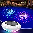Amazon.com : Goallim Floating Pool Lights Fish Light Show, 6.5 Inch Dynamic Color Changing Fish ...