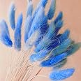 Amazon.com: 100 Pcs Blue Bunny Tails Dried Flowers 17" Natural Pampas ...