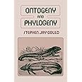Ontogeny and Phylogeny: Gould, Stephen Jay: 9780674639416: Amazon.com ...